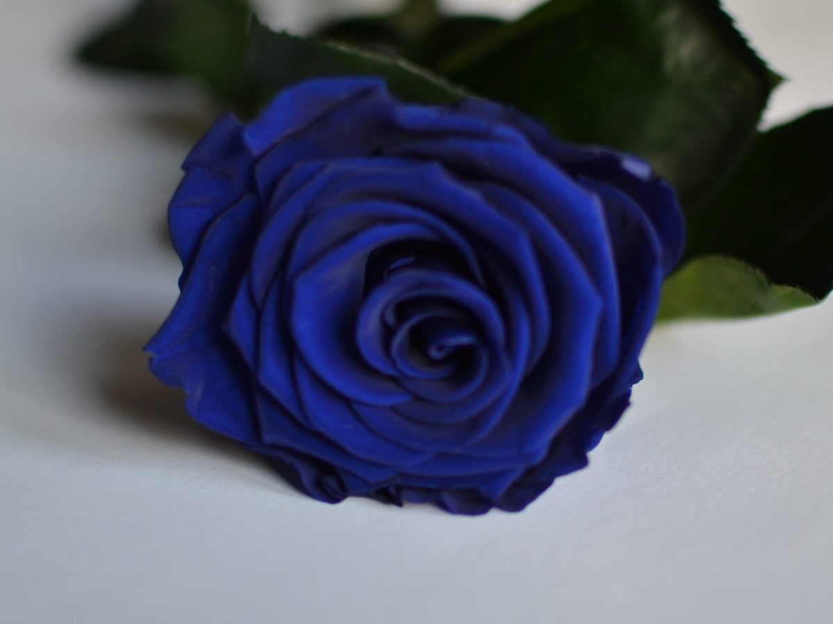 Rosa Azul Hd Ein Bunt, Abstrakt Bild Von Ein Rosa Und Blau Ozean Mit