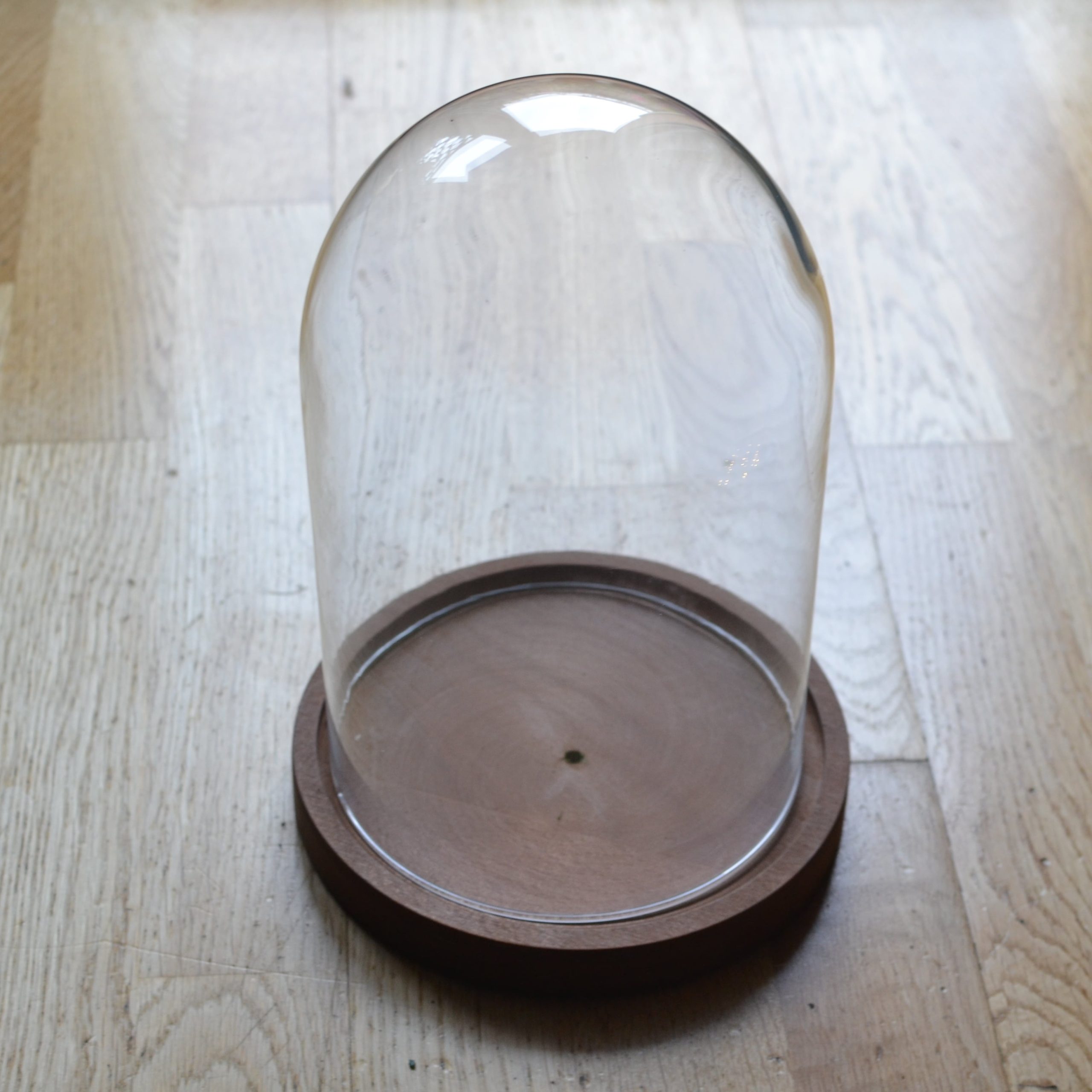 Buy your Cheap Crystal Dome at Rosaeterna.online